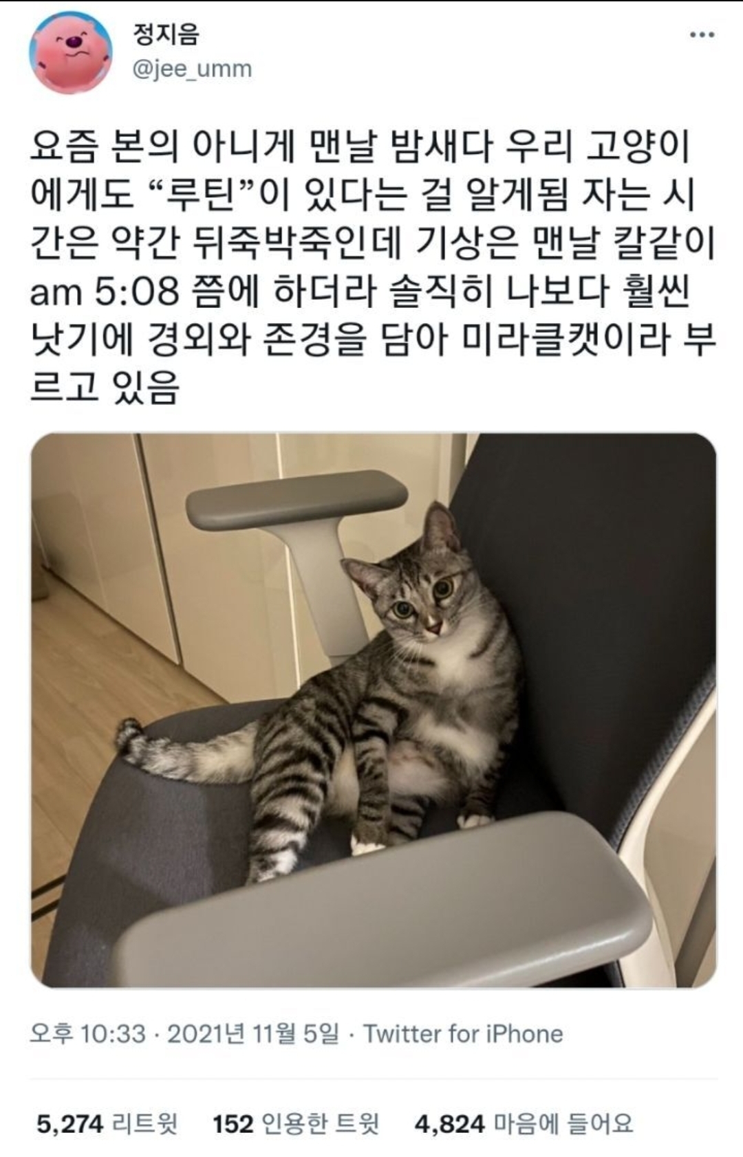 Daum 카페