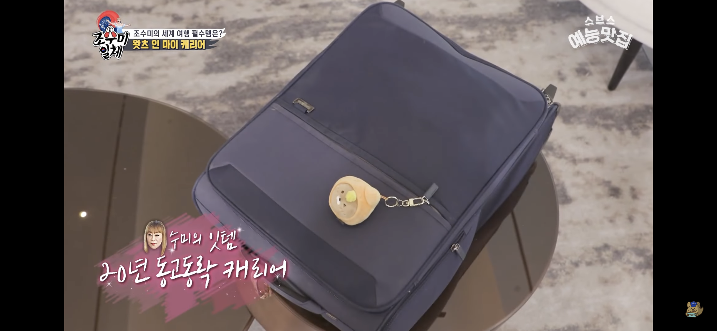 월드클래스 조수미의 여행용 캐리어 🧳 - 악플달면 쩌리쩌려버려 - ＊여성시대＊ 차분한 20대들의 알흠다운 공간