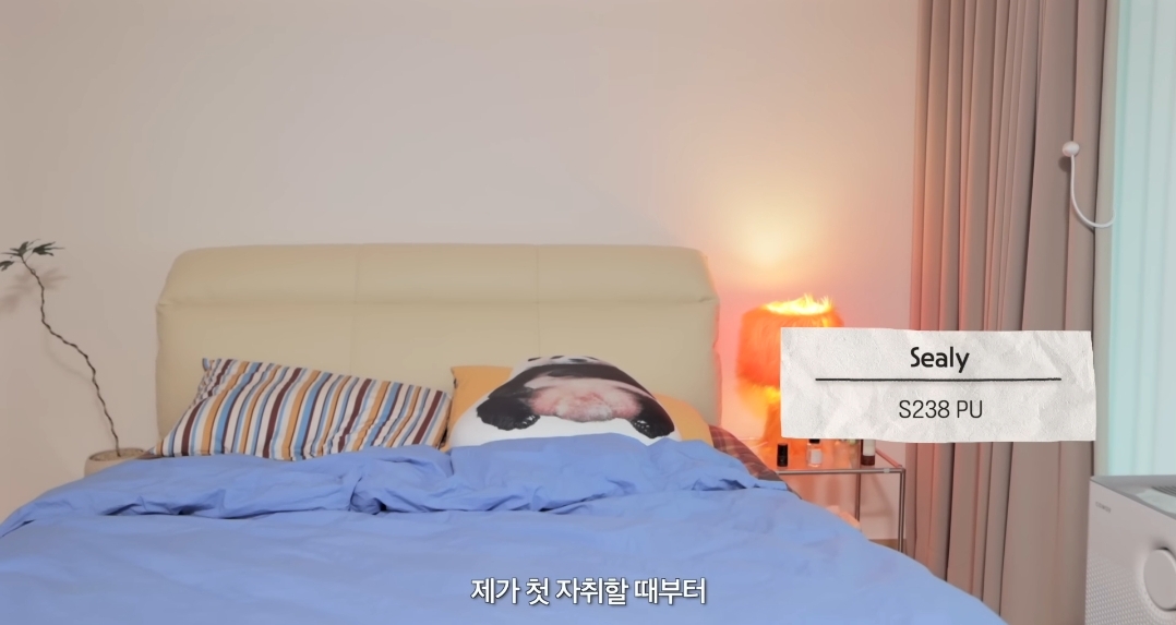 더쿠 - 레드벨벳 슬기가 최초로 공개한 집과 인테리어 정보들