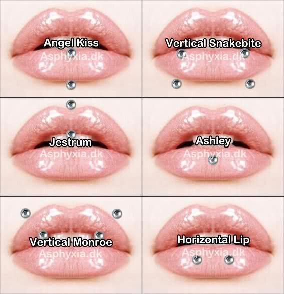 내가 하고싶어서 모아본 다양한 입술 피어싱 종류 모음.jpg - 💗 해피 뉴쩌리 - ＊여성시대＊ 차분한 20대들의 알흠다운 공간