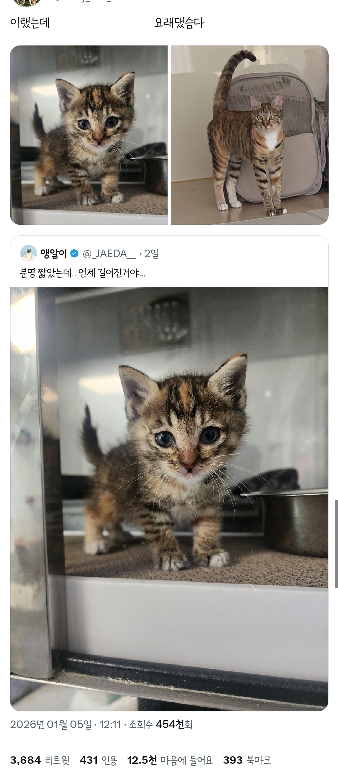 분명 짧았는데.. 언제 길어진거야... - 악플달면 쩌리쩌려버려 - ＊여성시대＊ 차분한 20대들의 알흠다운 공간