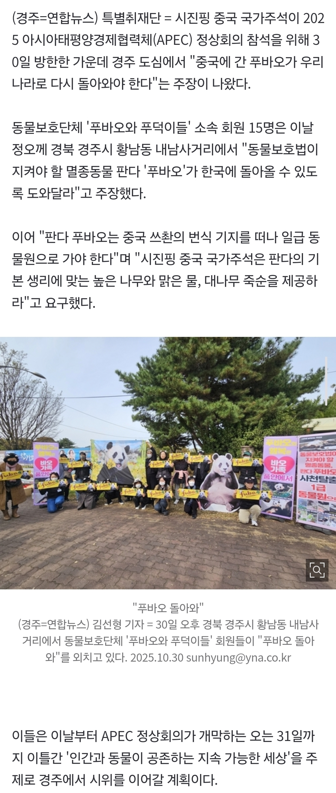 Daum 카페