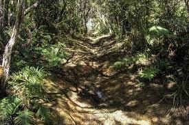 5월14일 새로이 open한 Gibbon,Muir and Pararaha valley Track - 트램핑 계획 - 오클랜드 ...