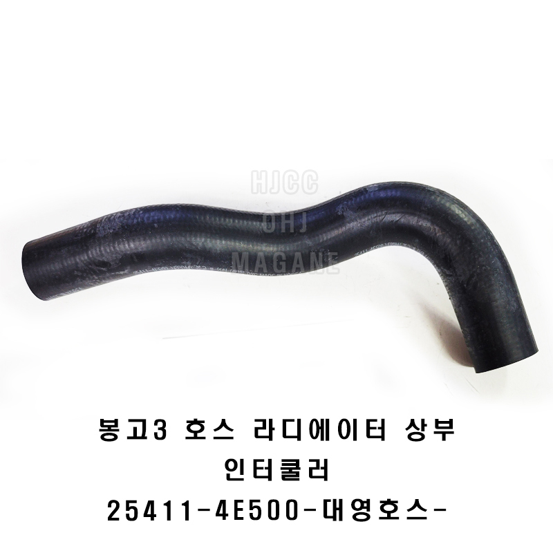 Daum 카페