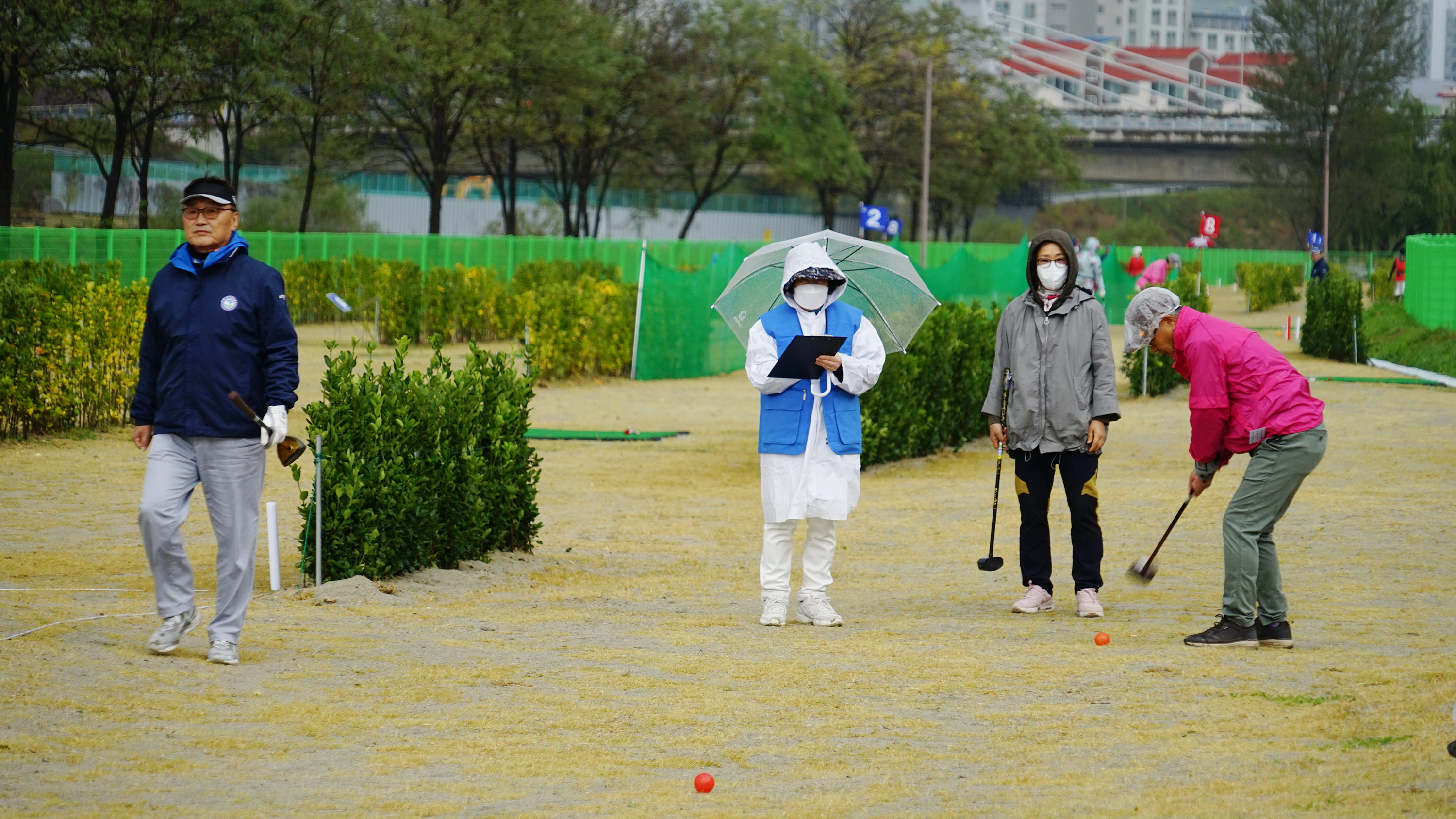 Daum 카페