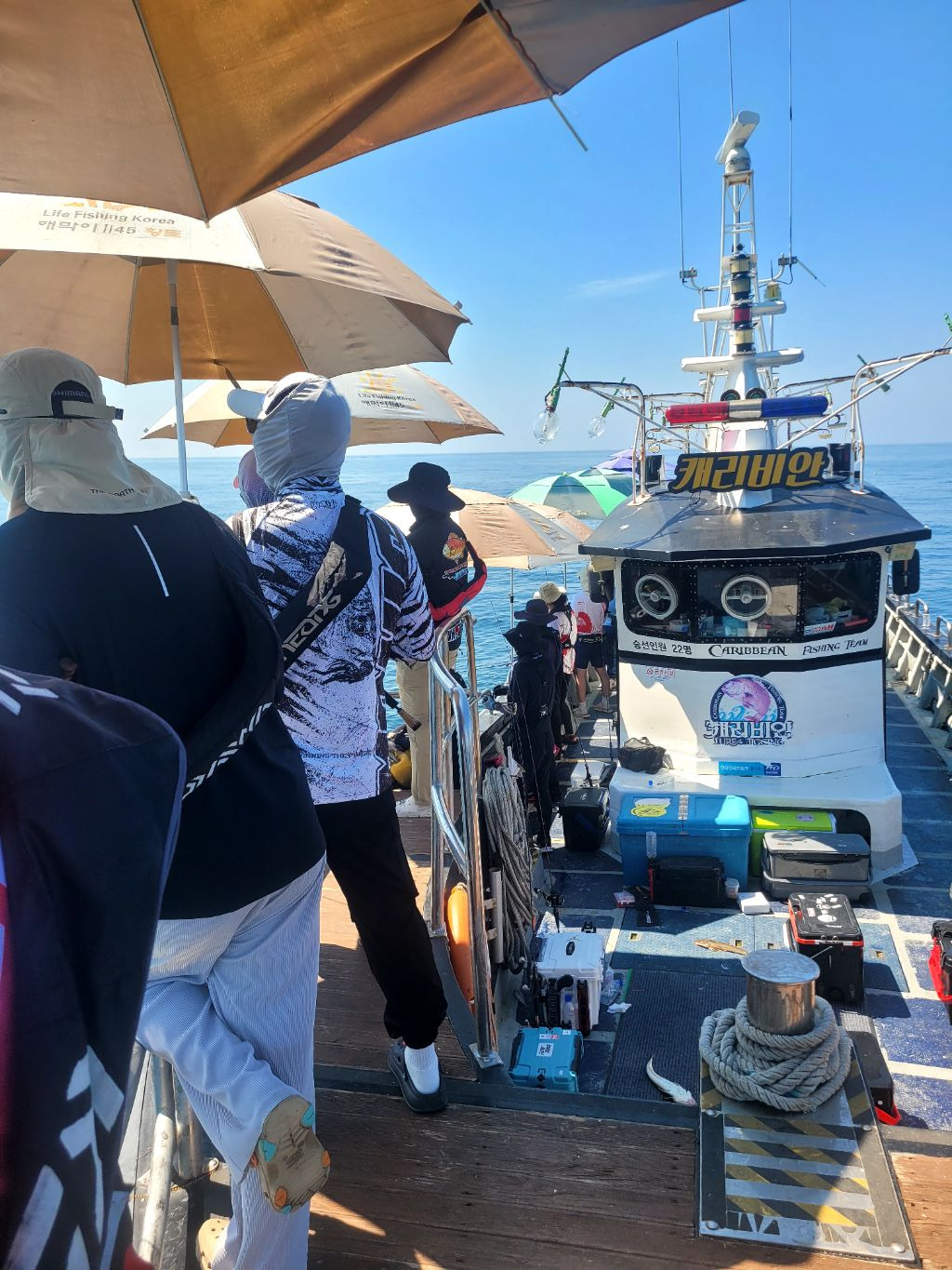 8/3 캐리비안호 씨알좋은 참돔 ~마릿수 조황입니다. - ─‥‥‥참돔조황정보 - 군산 캐리비안호