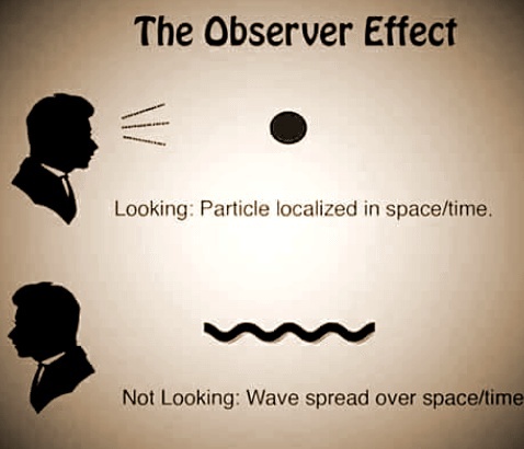 관찰자 효과(The Observer Effect) - 문화와 세상 이야기 - 지리산 천년 3암자길