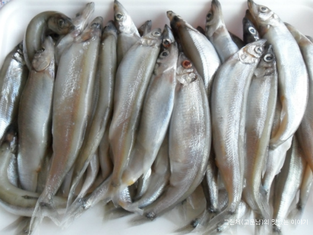 Thiaminase in Raw Fish 날 물고기 안 티아민아제 - 지식 발전소 - 발효 인문학, 읽나바