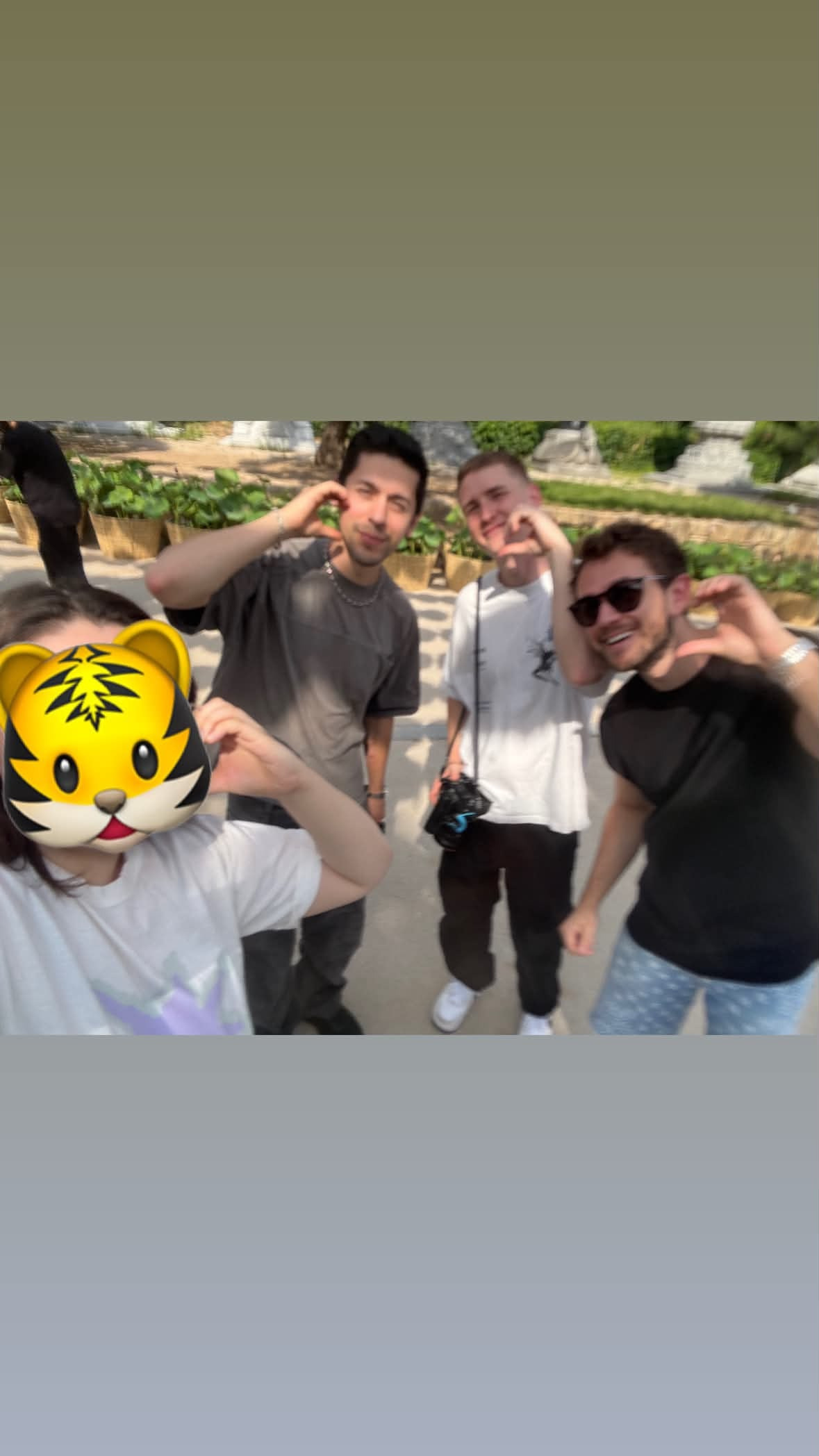 Daum 카페