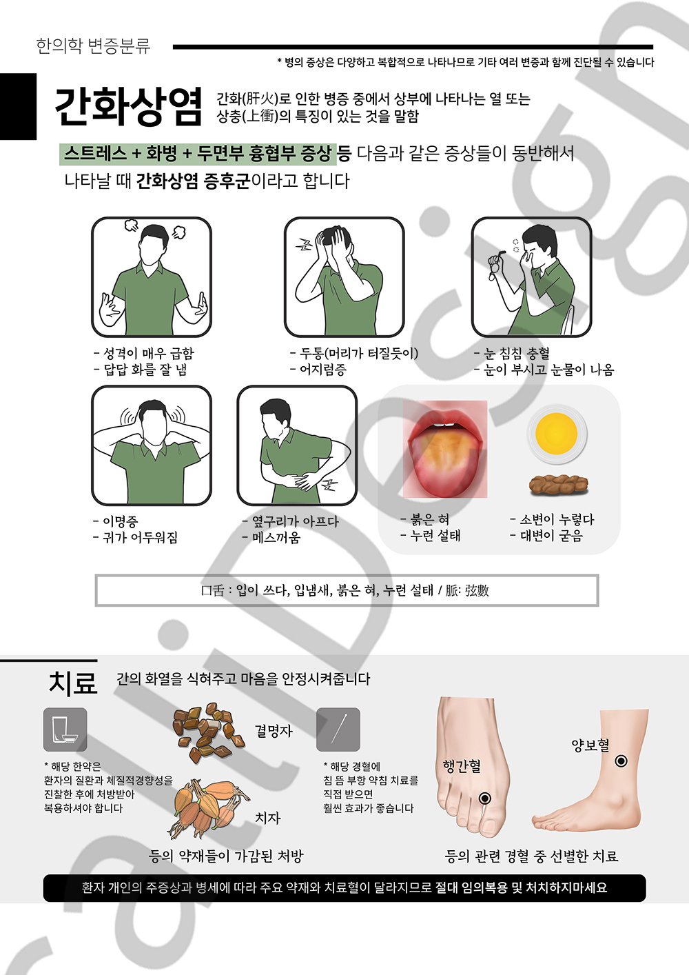 (21종) 한의학 변증 티칭지 패키지 (리뉴얼) - calliDesign 패키지 상품들 - calli design