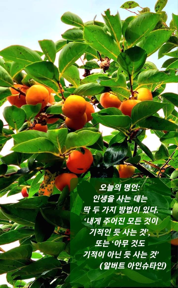 Susan Jacks - Evergreen - •―··음악 감상실 - 대한민국♡조원진