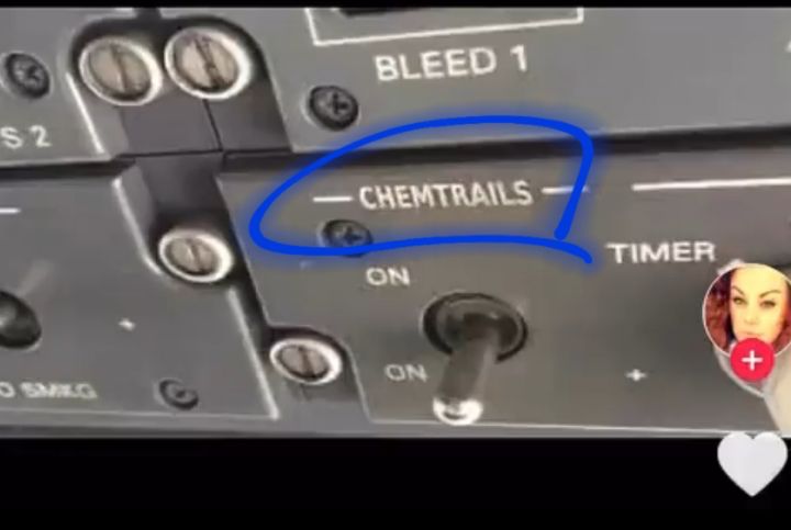 Pat Winston 트윗 (이해 중요) 각자 출생증명서=주식회사의 주식 - 자유게시판 - 트럼프왕과 기사이야기