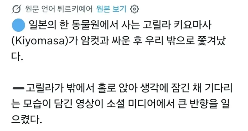 Daum 카페