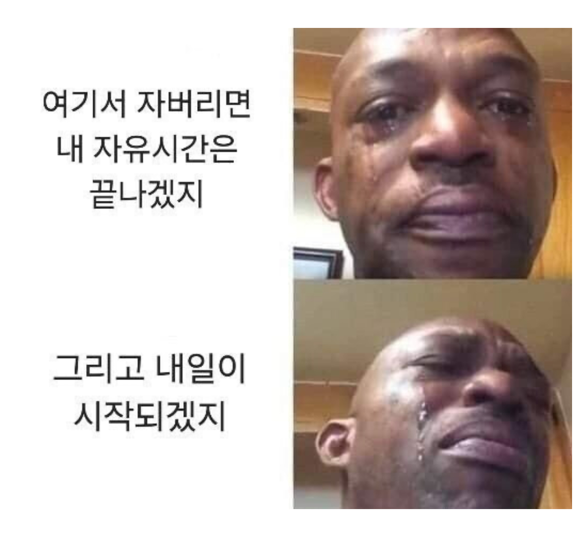 Daum 카페
