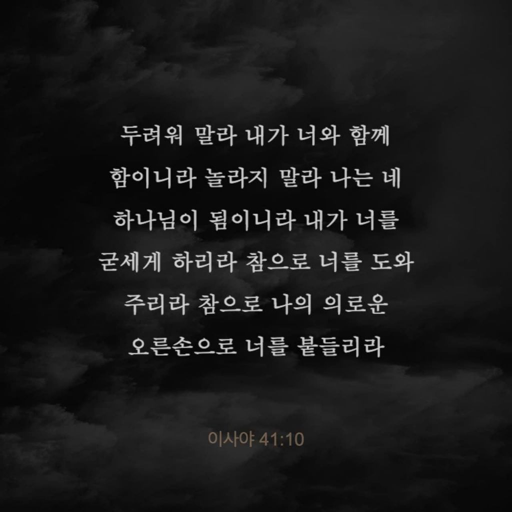 Daum 카페