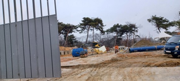 Daum 카페