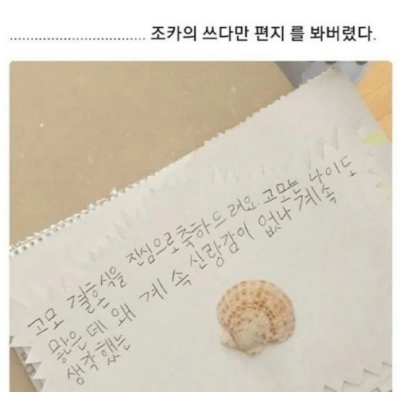 Daum 카페