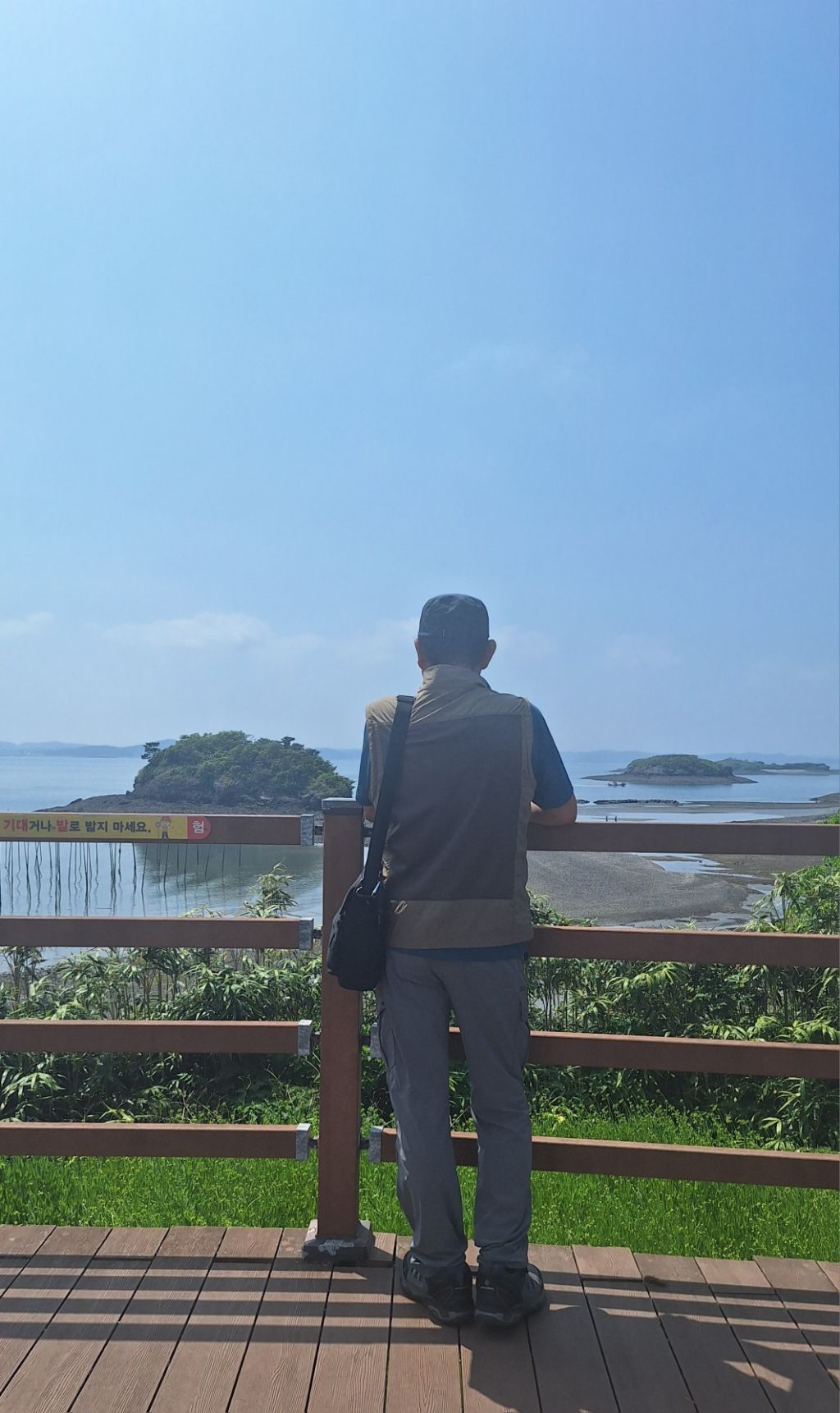 Daum 카페