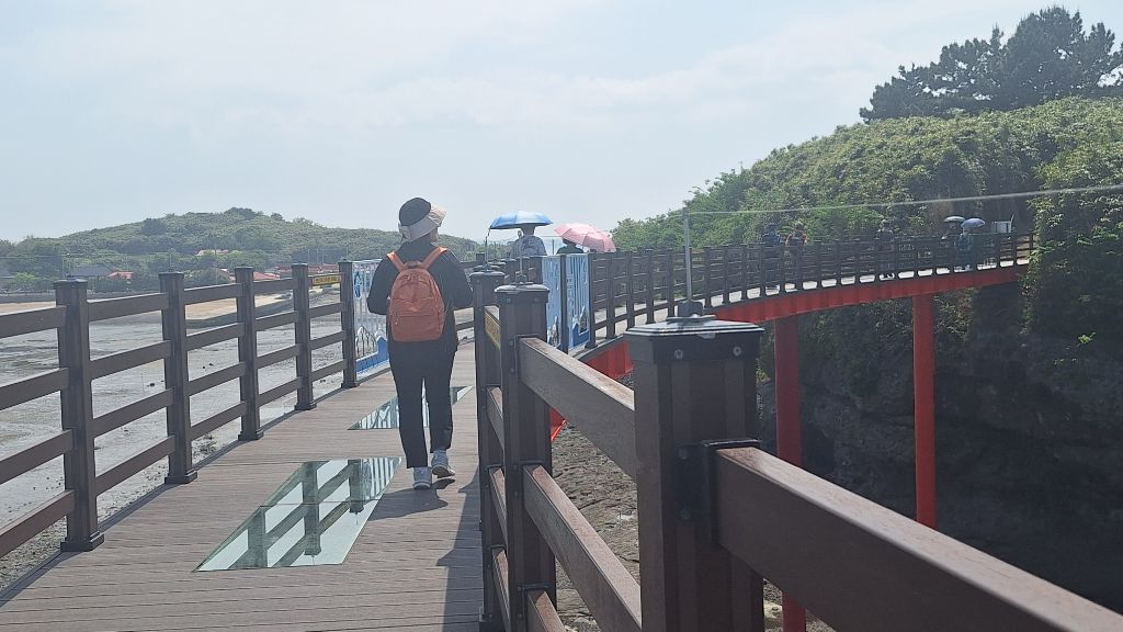 Daum 카페