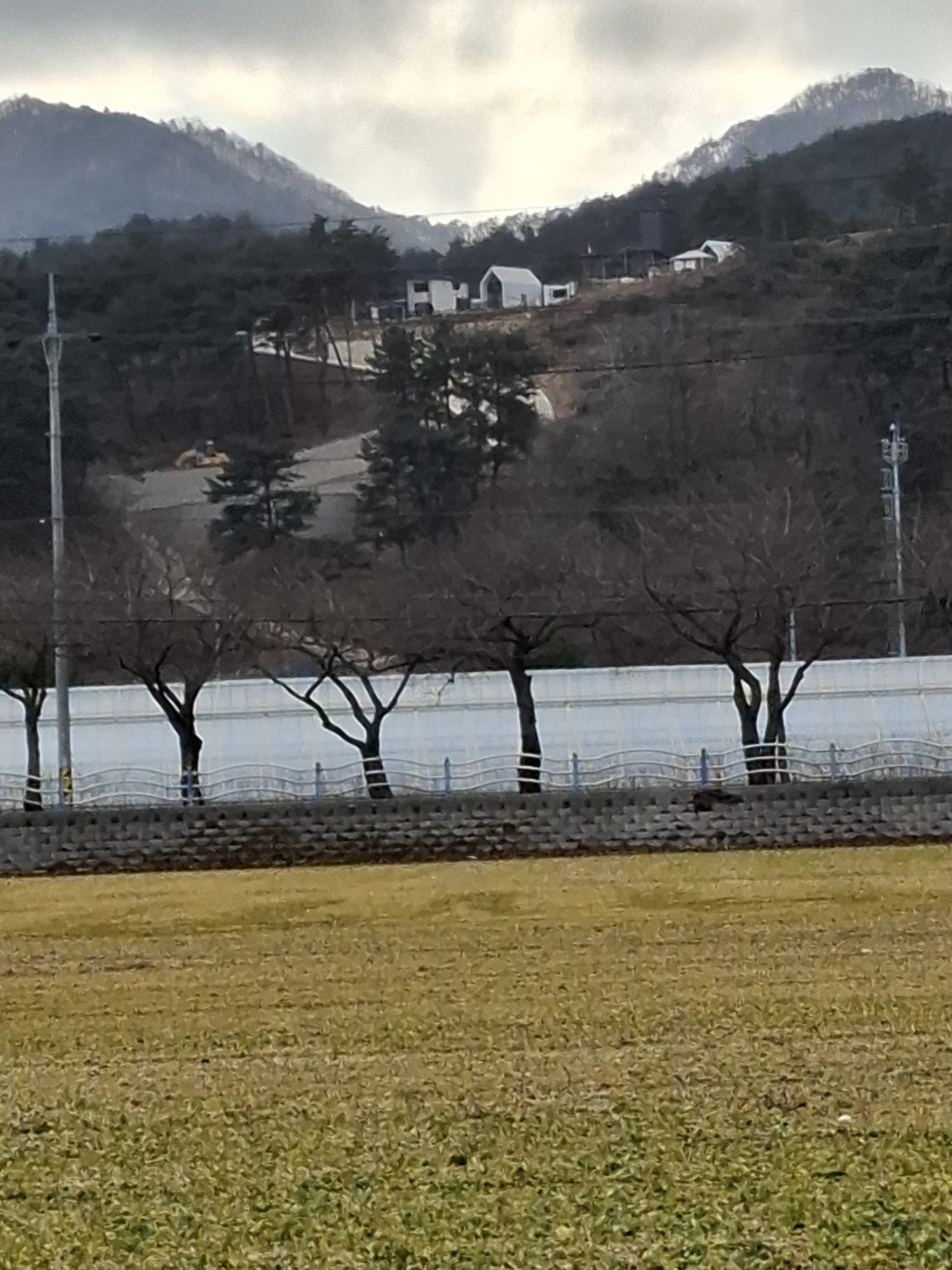 Daum 카페