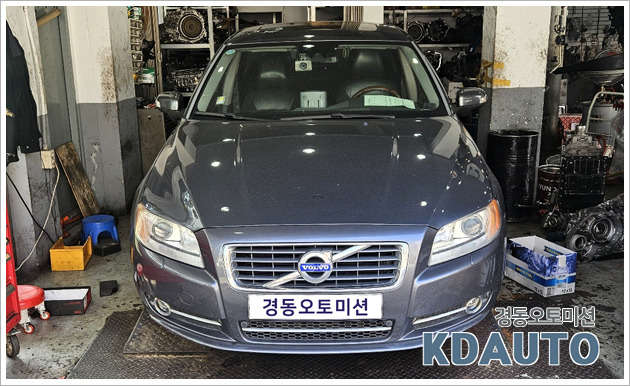 Daum 카페