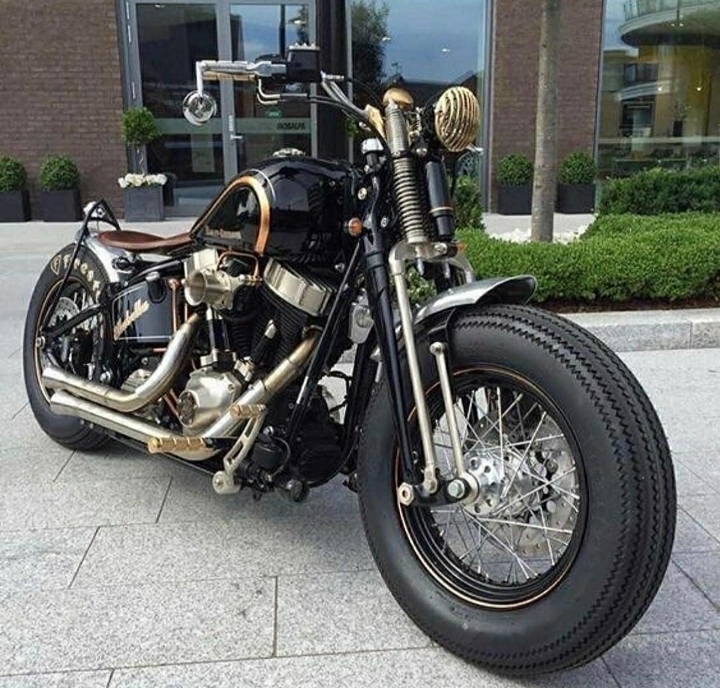 Daum 카페