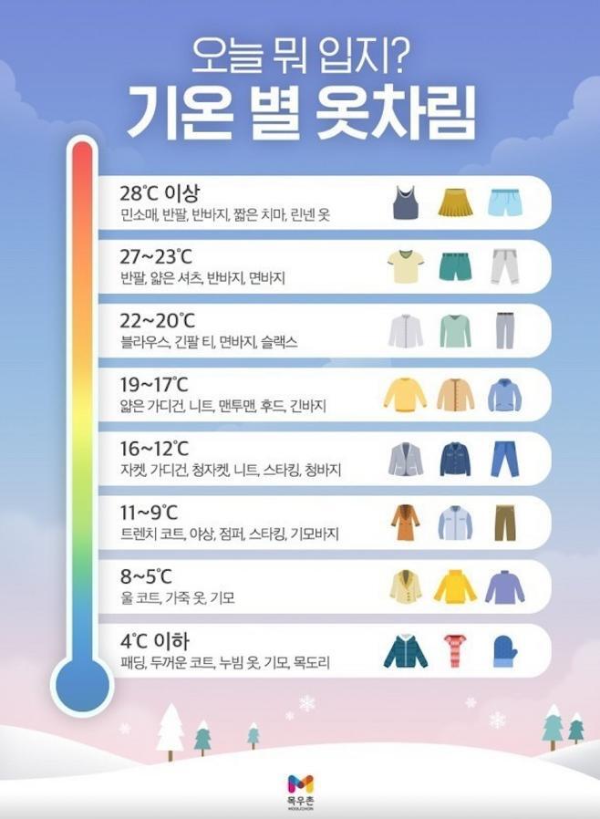 Daum 카페