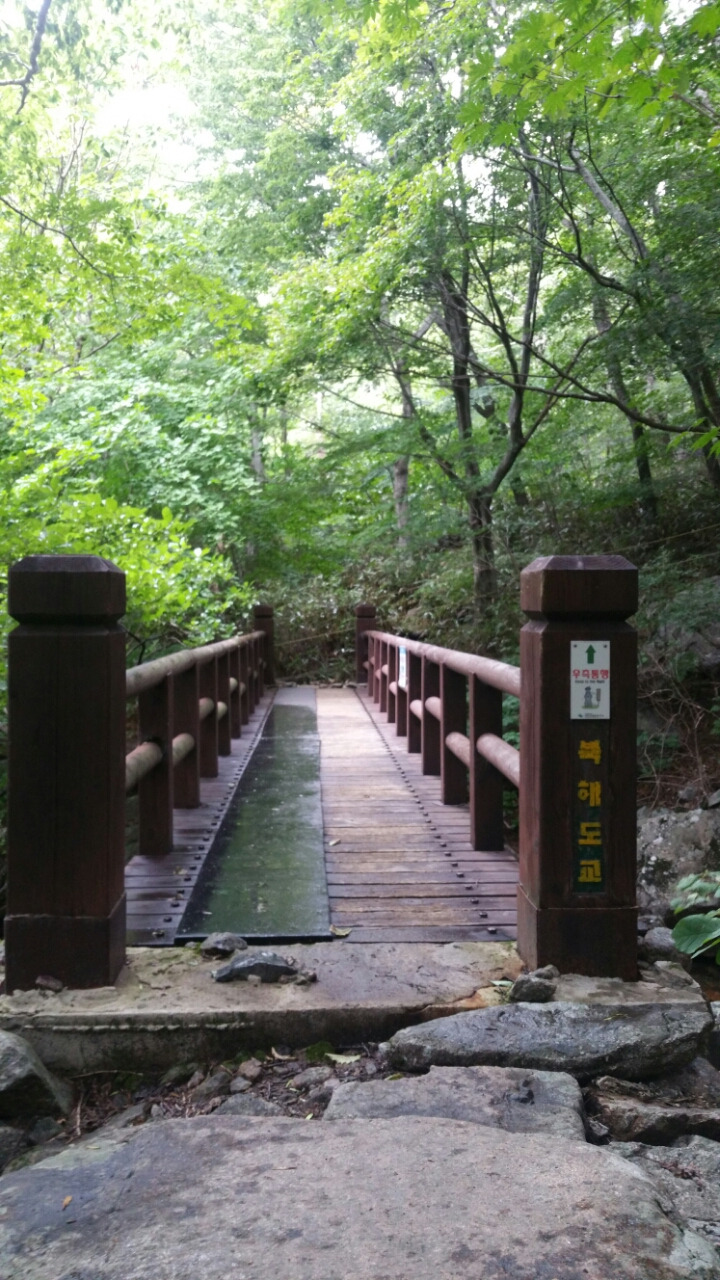 Daum 카페
