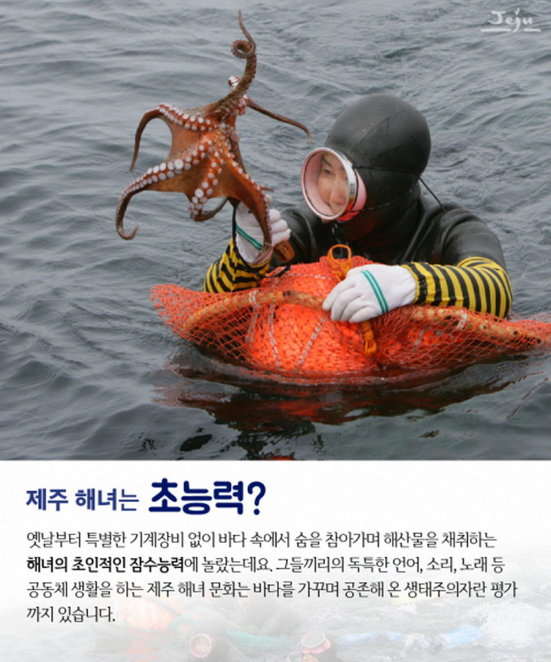 Daum 카페