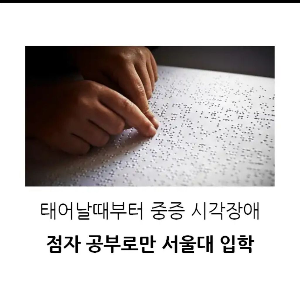 Daum 카페