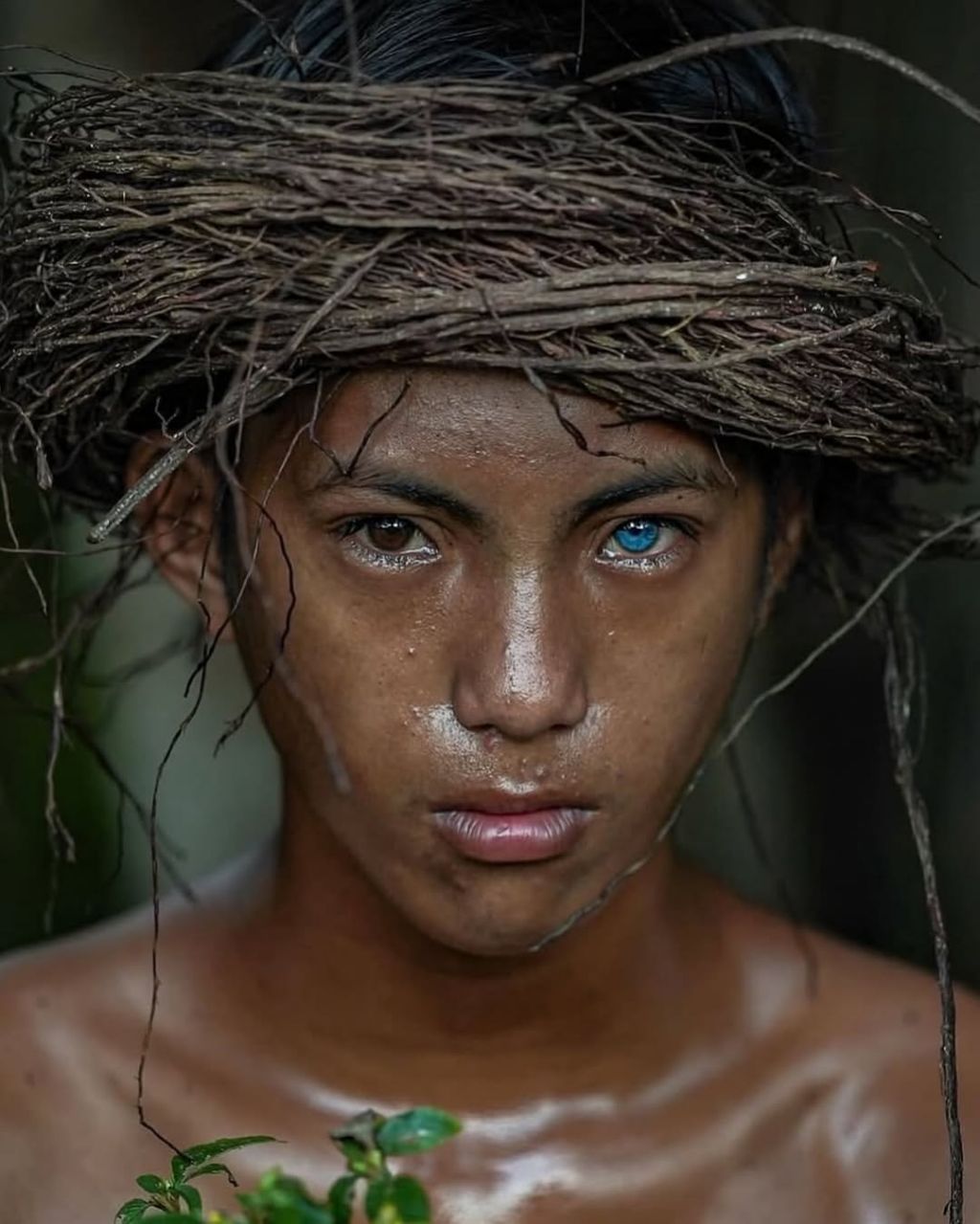 푸른 눈의 부족 - 엽기사진실 - 이종격투기
