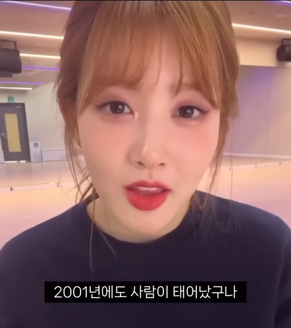 Daum 카페