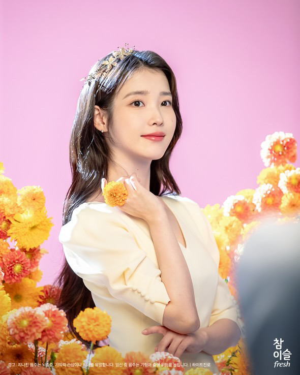Daum 카페