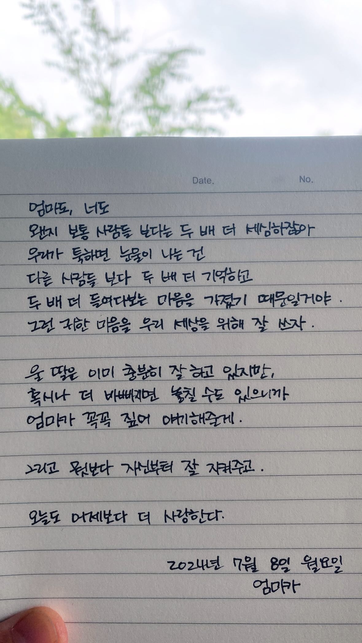Daum 카페