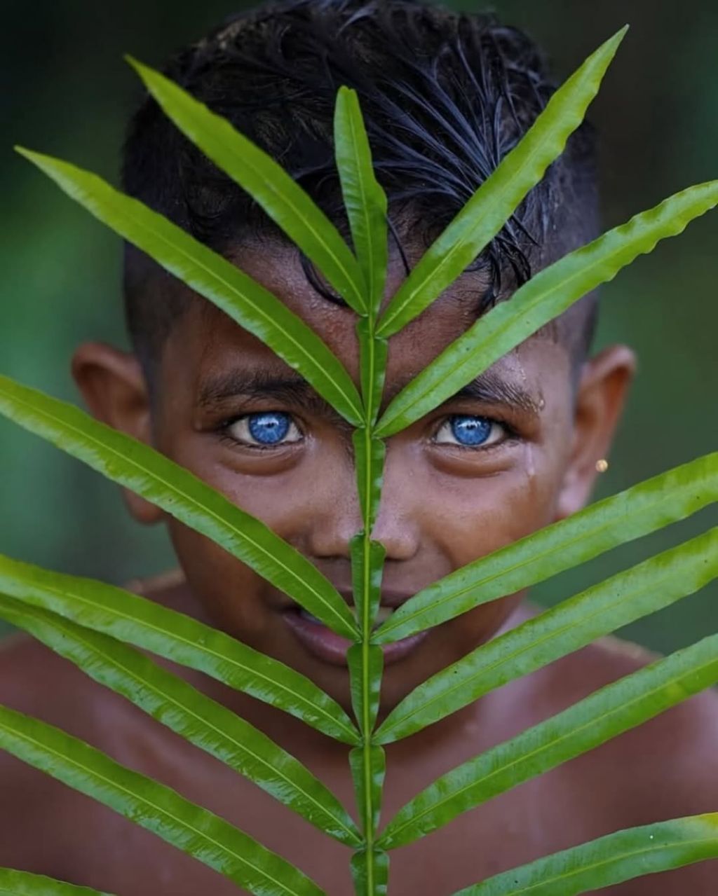 푸른 눈의 부족 - 엽기사진실 - 이종격투기