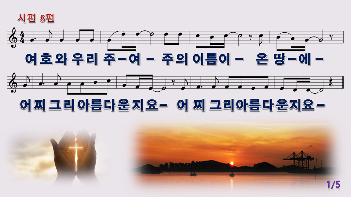 Daum 카페