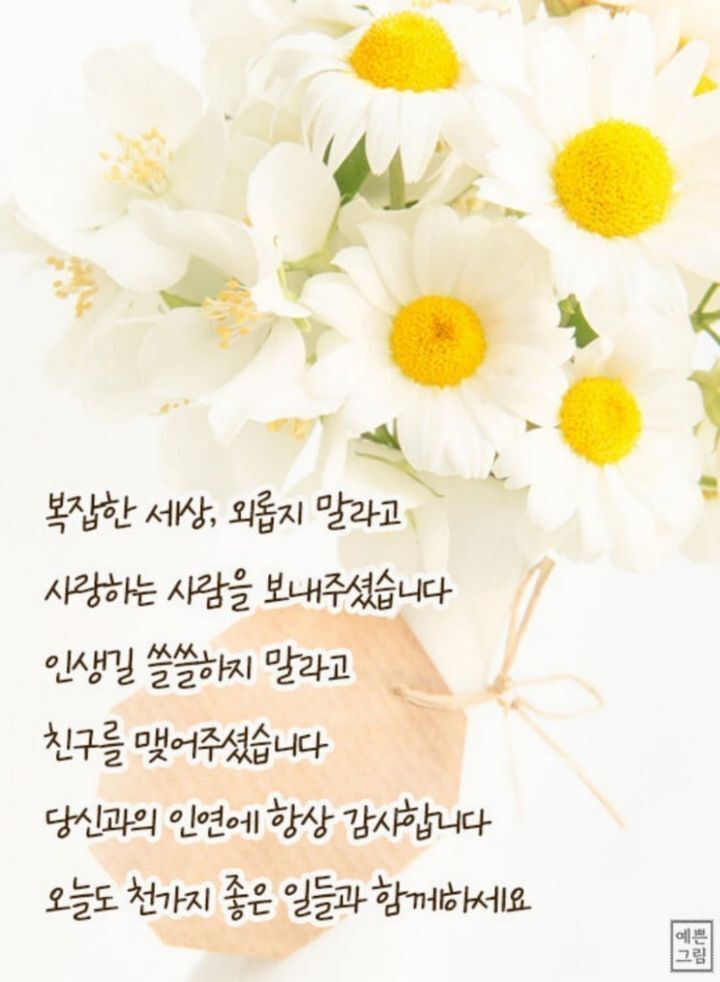 Daum 카페