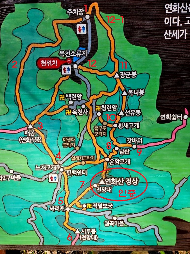 Daum 카페