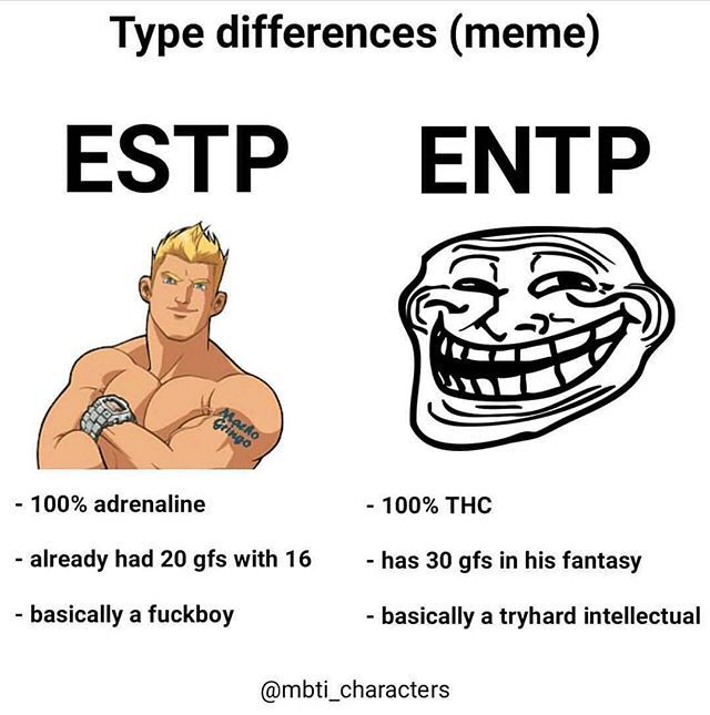 ENTJ랑 궁합 잘 맞는 의외의 유형 2가지 - 악플달면 쩌리쩌려버려 - ＊여성시대＊ 차분한 20대들의 알흠다운 공간