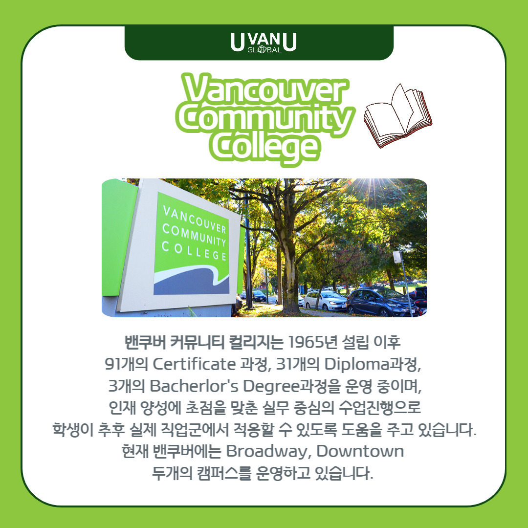 Daum 카페