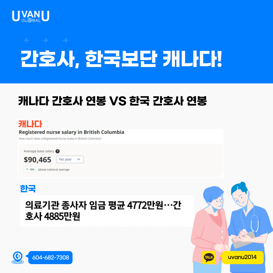 Daum 카페