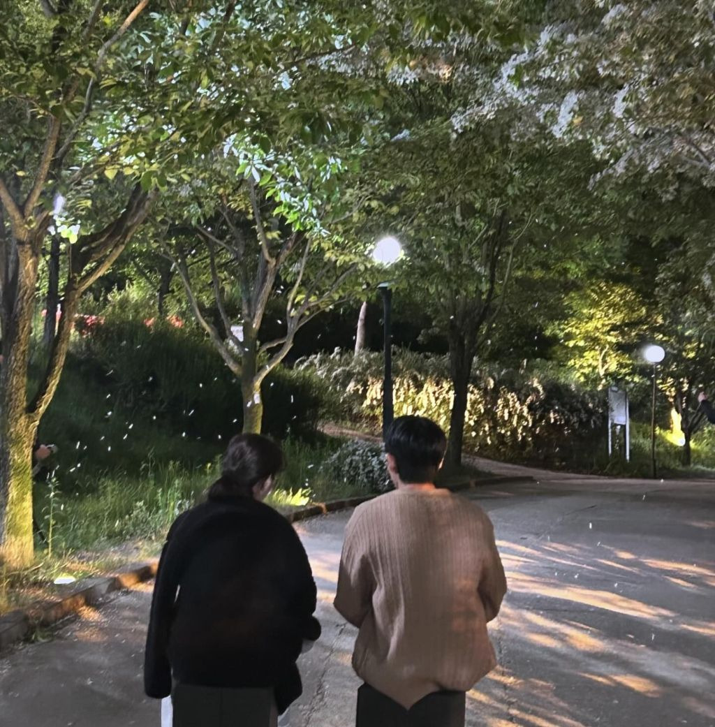 Daum 카페
