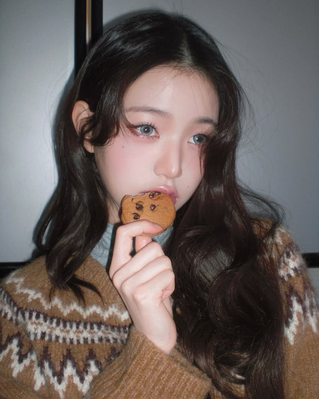 Daum 카페