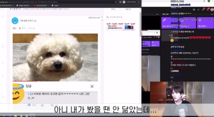더쿠 - 규현 닮은 강아지를 본 규현 . jpg