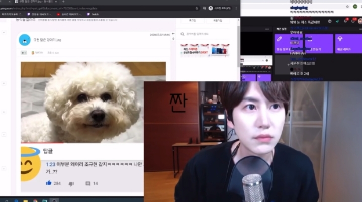 더쿠 - 규현 닮은 강아지를 본 규현 . jpg