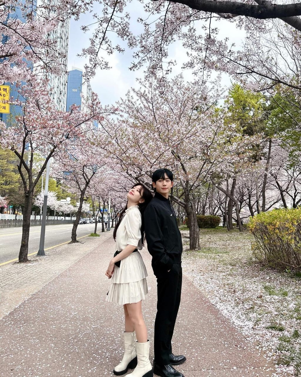 Daum 카페