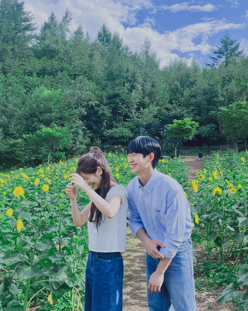 Daum 카페