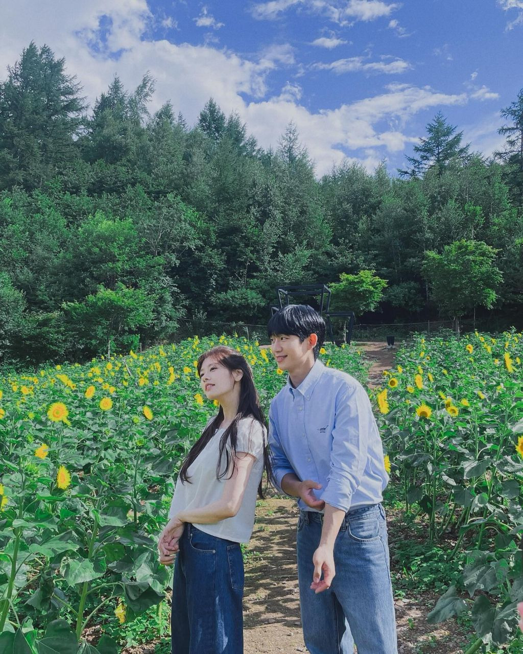 Daum 카페