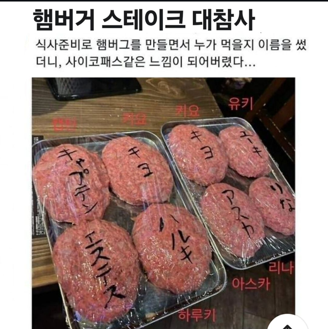 햄버거 스테이크 대참사.jpg - 악플달면 쩌리쩌려버려 - ＊여성시대＊ 차분한 20대들의 알흠다운 공간