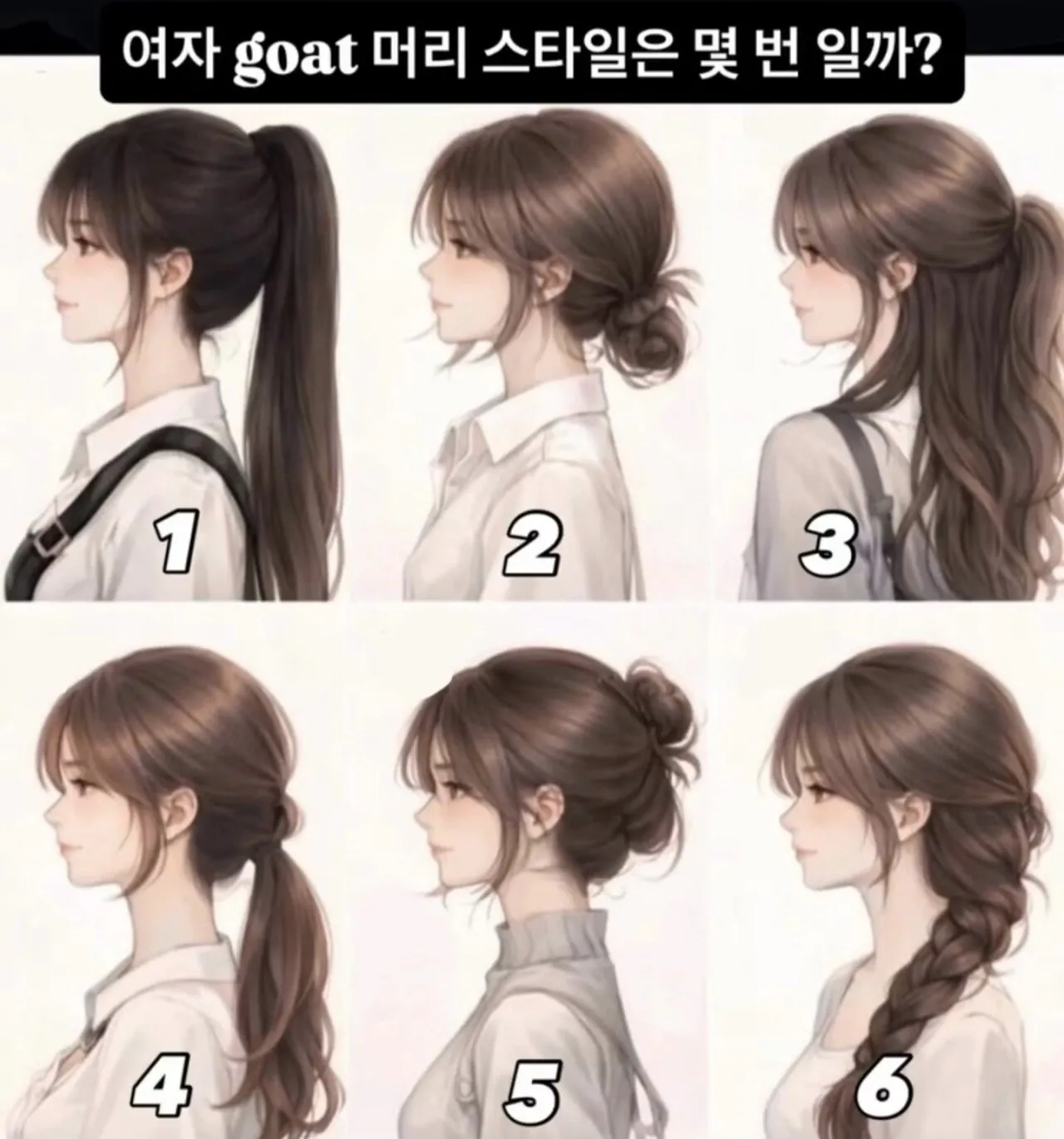 Daum 카페